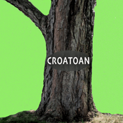 Croatoan Capital | Seeking Alpha