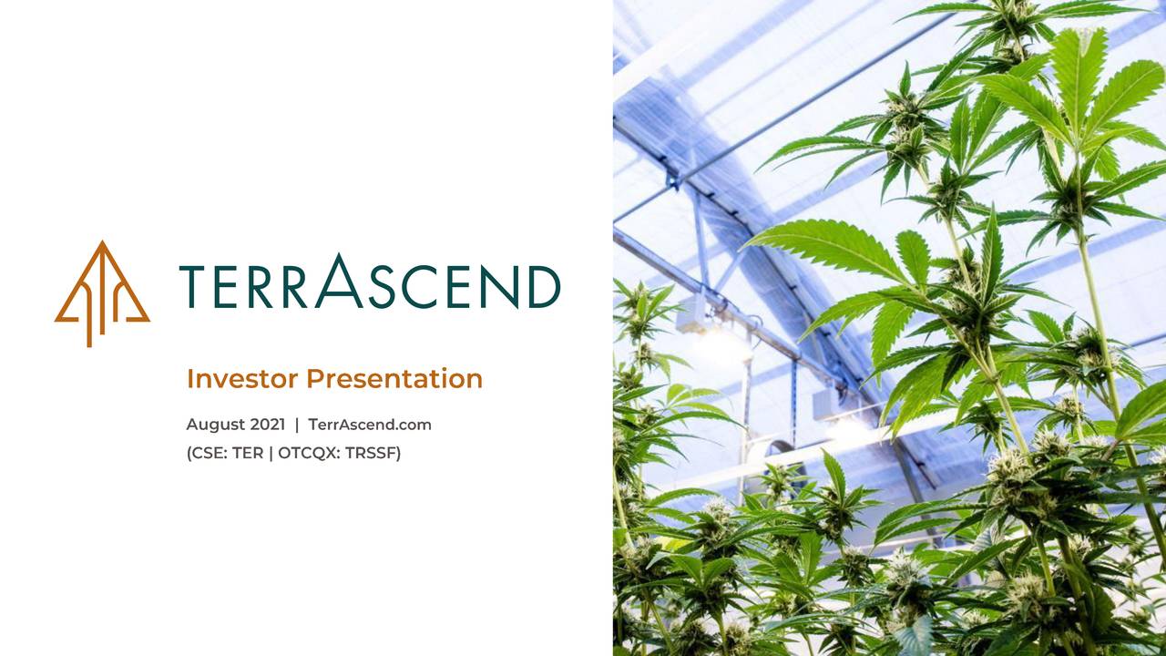 TerrAscend Corp. 2021 Q2 - Results - Earnings Call Presentation ...
