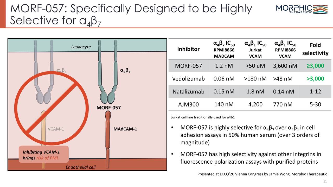 Morphic (MORF) Presents At Bank of America Healthcare Virtual ...