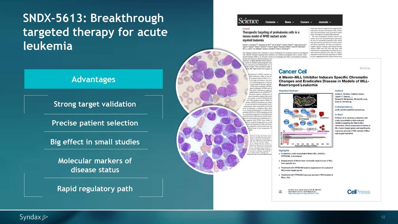 Syndax Pharmaceuticals (SNDX) Presents At Cowen Health Care Conference ...
