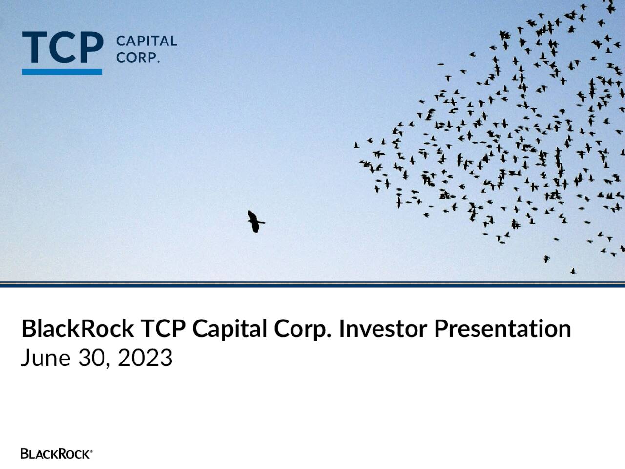 BlackRock TCP Capital Corp 2023 Q2 - Results - Earnings Call ...