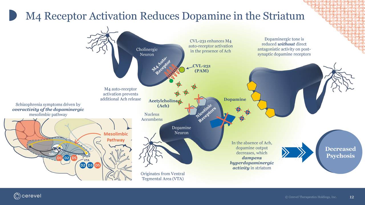 Cerevel Therapeutics (CERE) Investor Presentation - Slideshow (NASDAQ ...