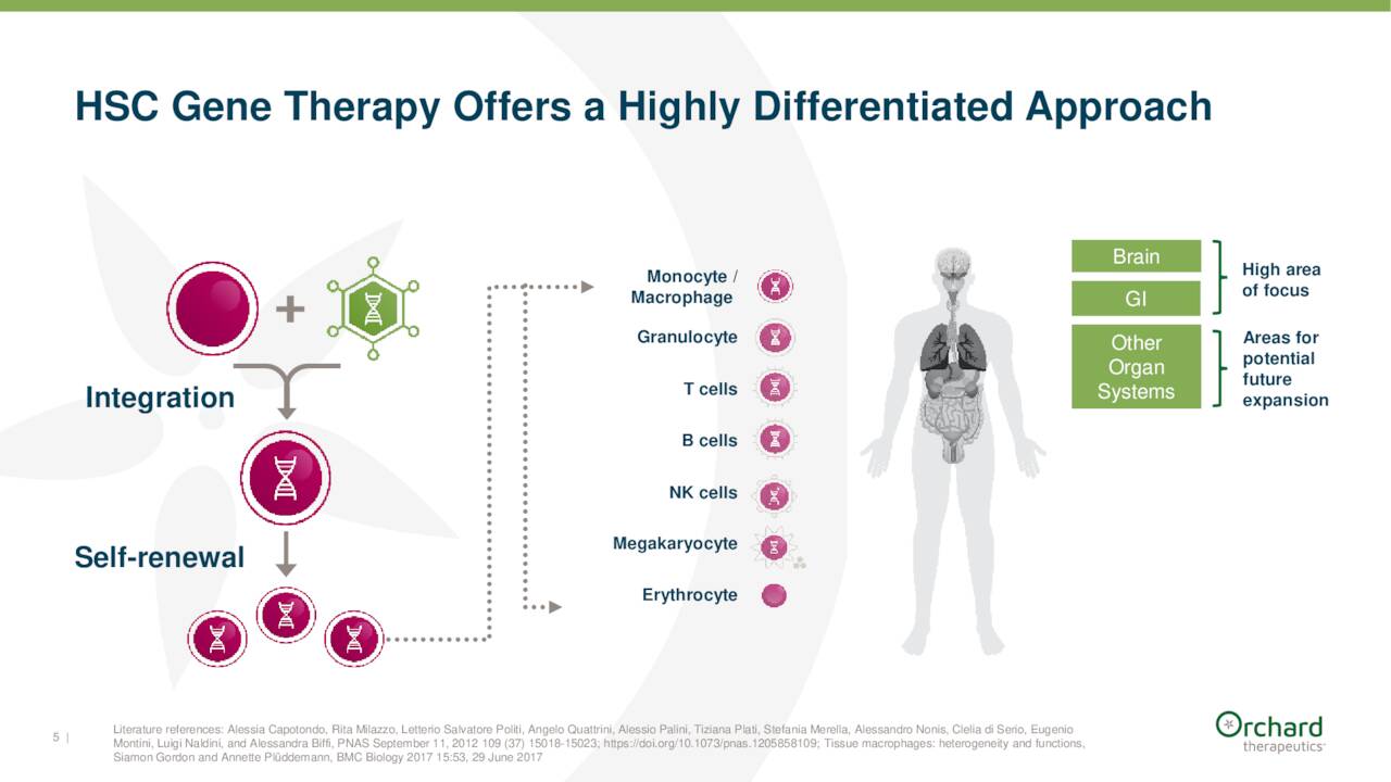 Orchard Therapeutics: A Reassessment (NASDAQ:ORTX) | Seeking Alpha