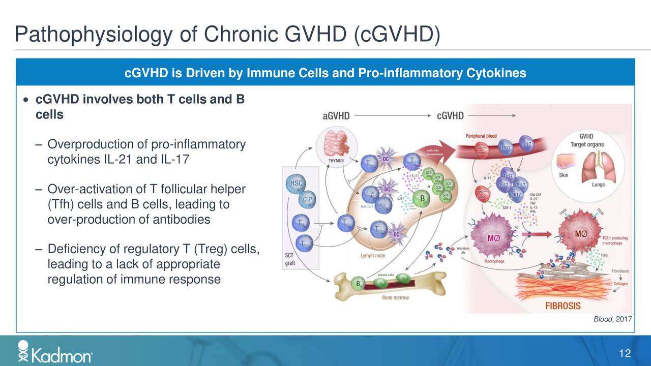 Kadmon (KDMN) Investor Presentation - Slideshow (NASDAQ:KDMN) | Seeking ...