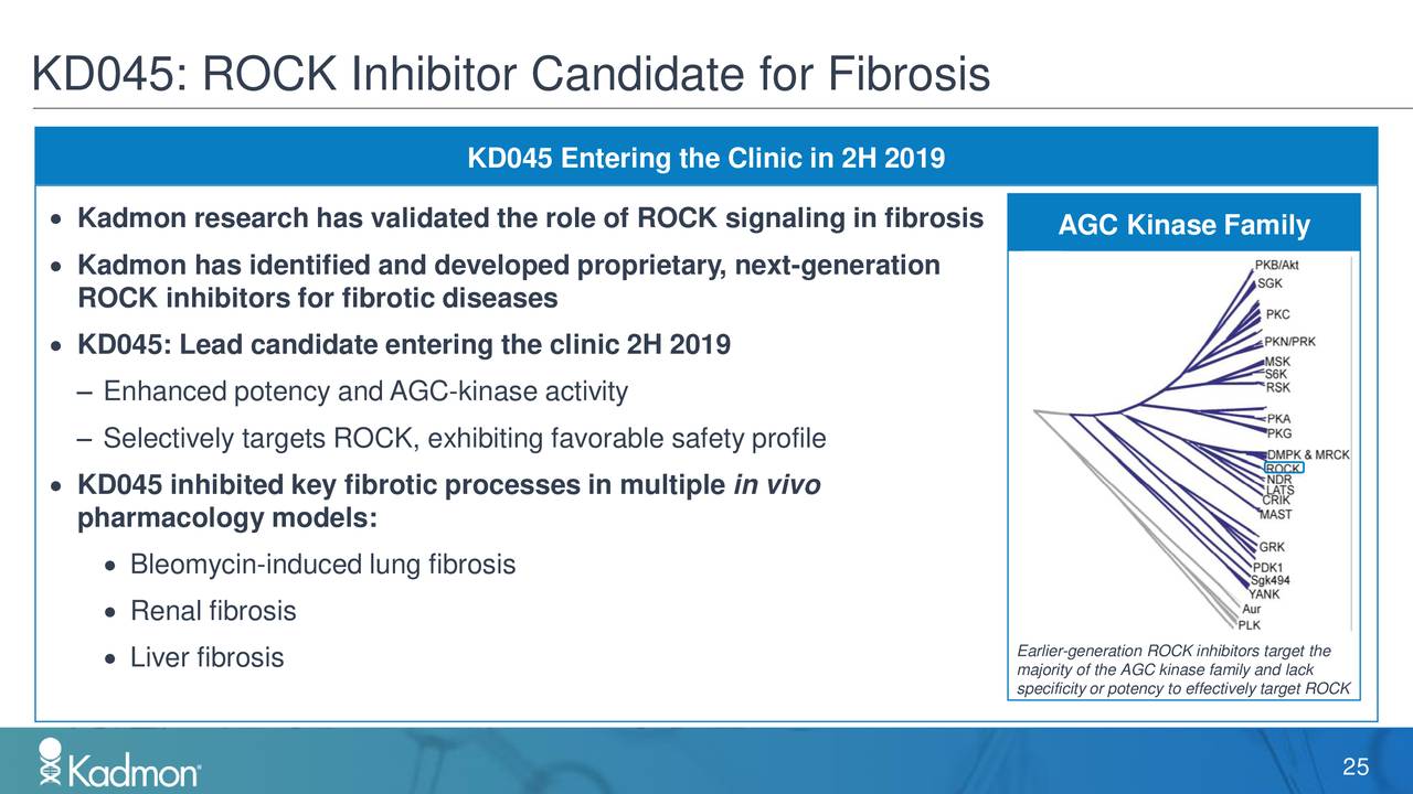Kadmon (KDMN) Investor Presentation - Slideshow (NASDAQ:KDMN) | Seeking ...