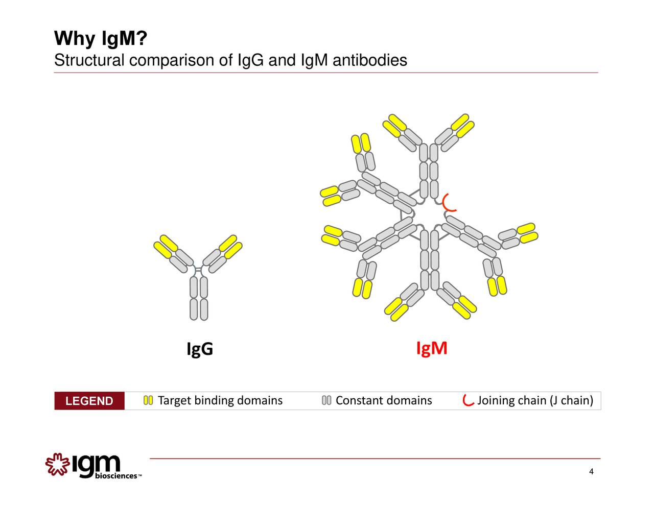 IGM Biosciences Inc (IGMS) Investor Presentation - Slideshow (NASDAQ ...