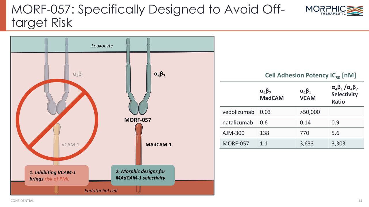 Morphic (MORF) Investor Presentation - Slideshow (NASDAQ:MORF ...