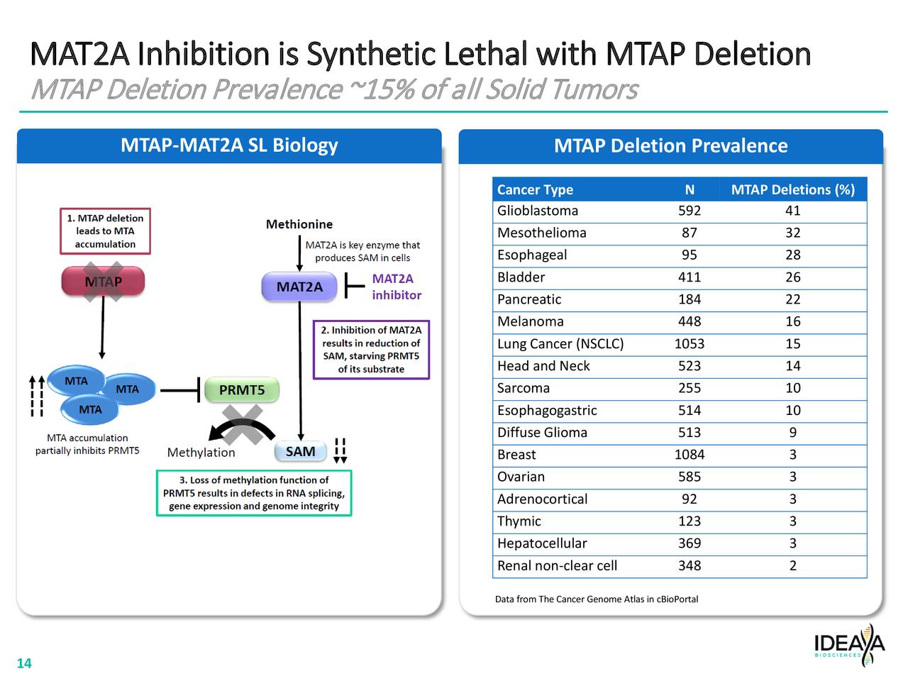 IDEAYA Biosciences (IDYA) Investor Presentation - Slideshow (NASDAQ ...