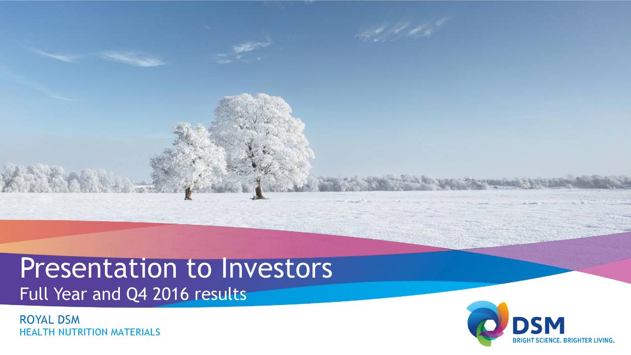 Royal DSM NV ADR 2016 Q4 - Results - Earnings Call Slides (OTCMKTS ...