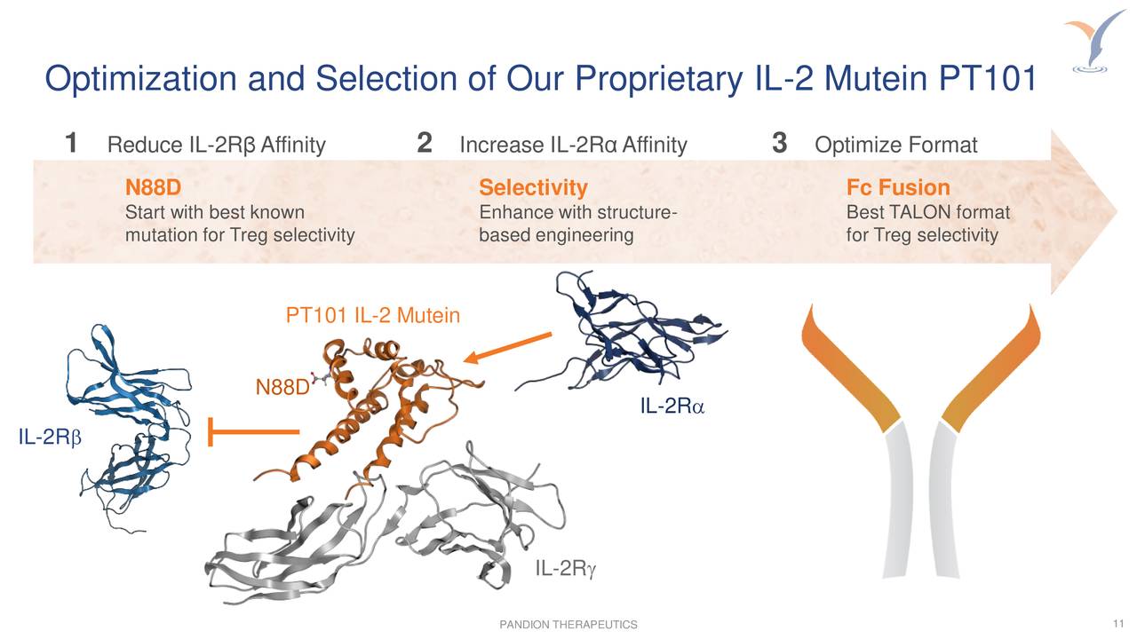 Pandion Therapeutics (PAND) Investor Presentation - Slideshow (NASDAQ ...