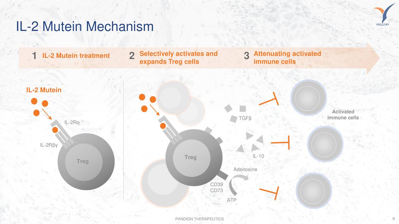 Pandion Therapeutics (PAND) Investor Presentation - Slideshow (NASDAQ ...