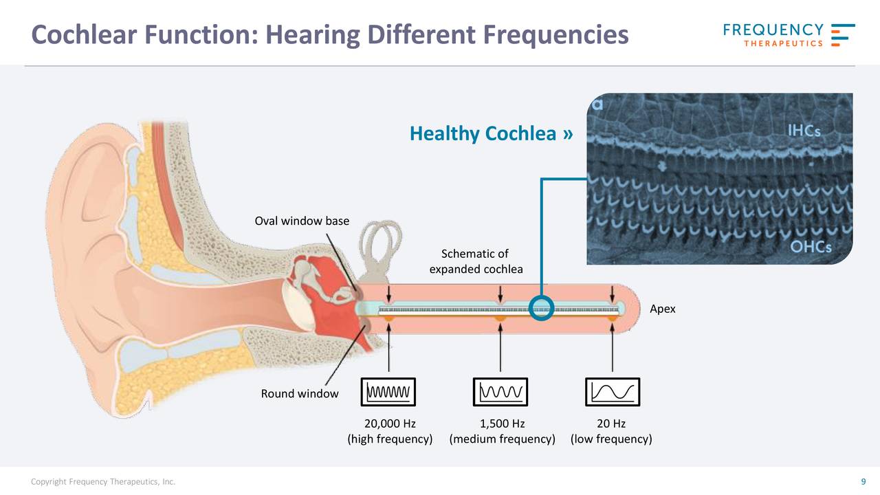 Frequency Therapeutics (FREQ) Presents At Cowen and Comapny 40th Annual ...
