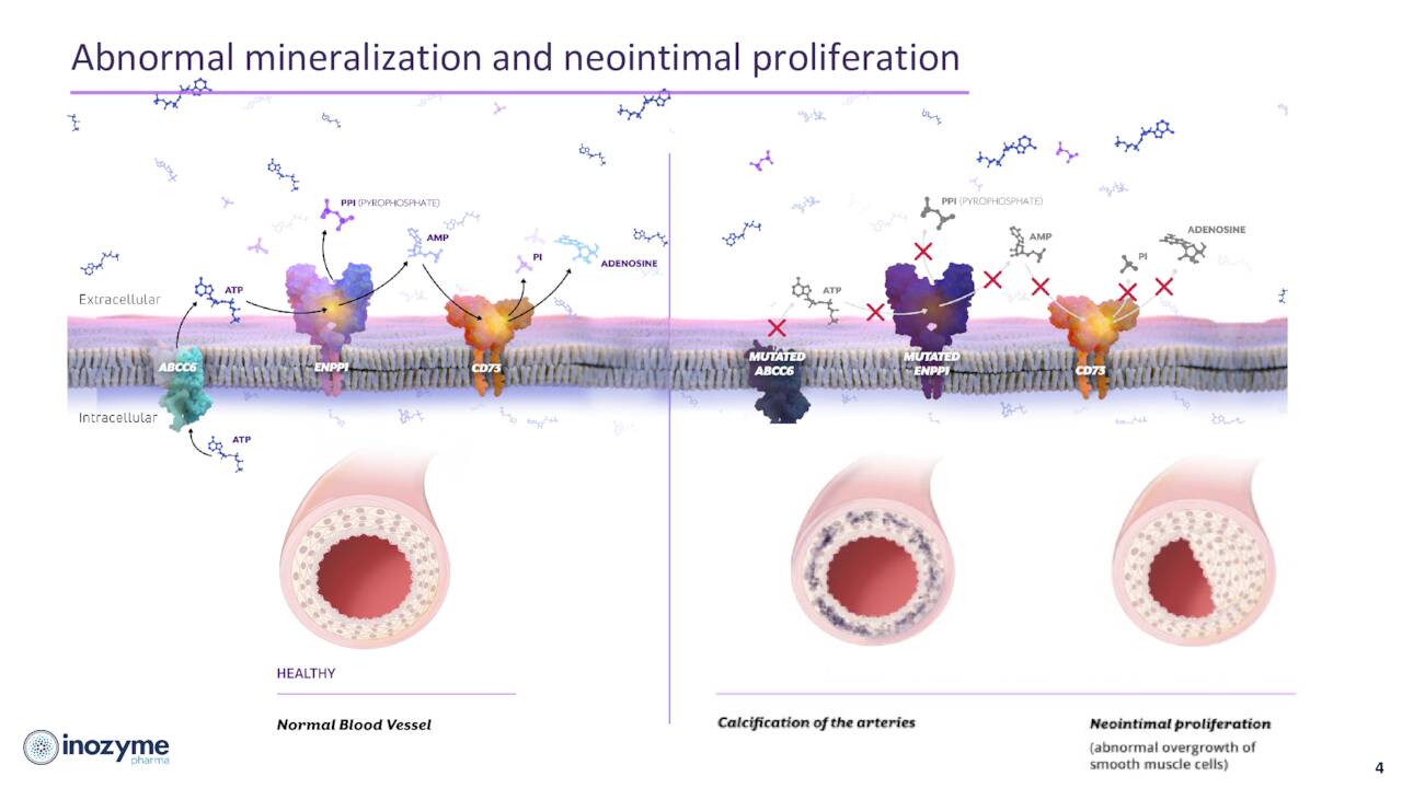 Inozyme Pharma (INZY) Investor Presentation - Slideshow (NASDAQ:INZY ...