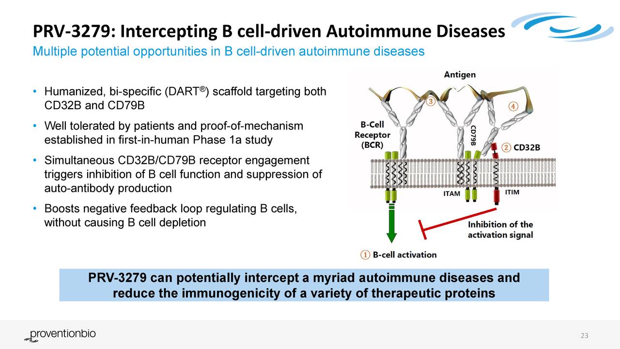 Provention Bio (PRVB) Investor Presentation - Slideshow (NASDAQ:PRVB ...