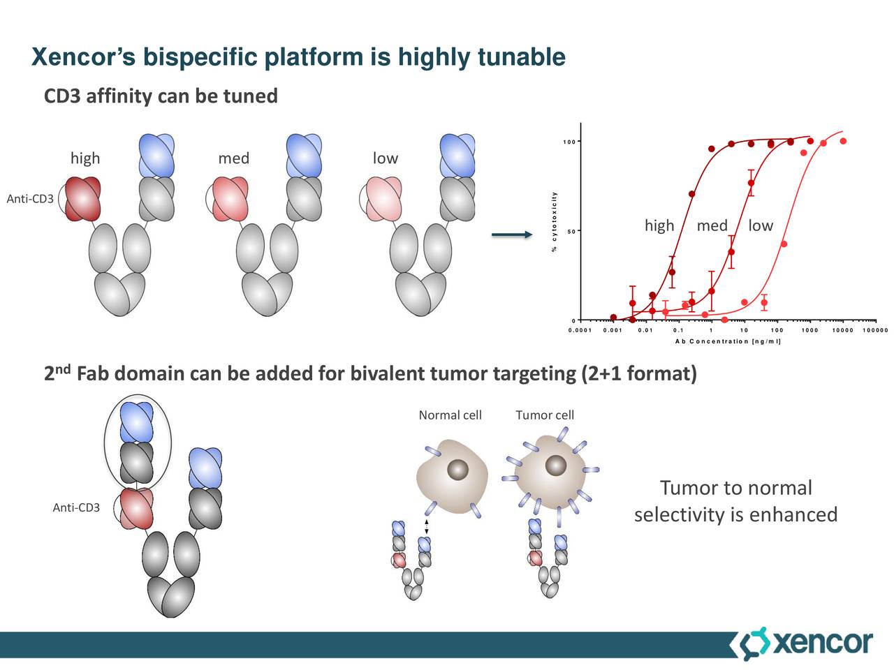 Xencor (XNCR) Presents At Society for Immunotherapy of Cancer ...