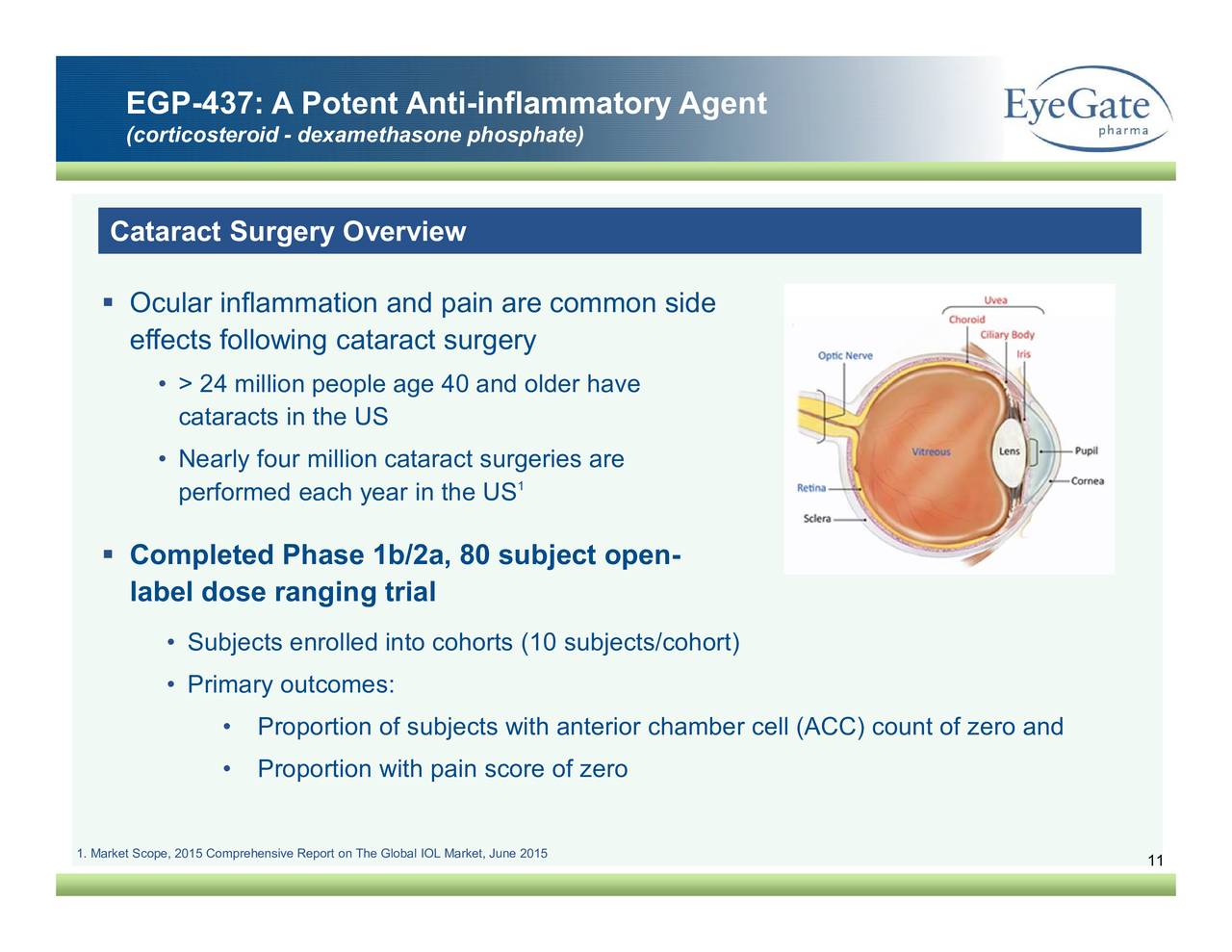 EyeGate Pharmaceuticals (EYEG) Investor Presentation - Slideshow ...