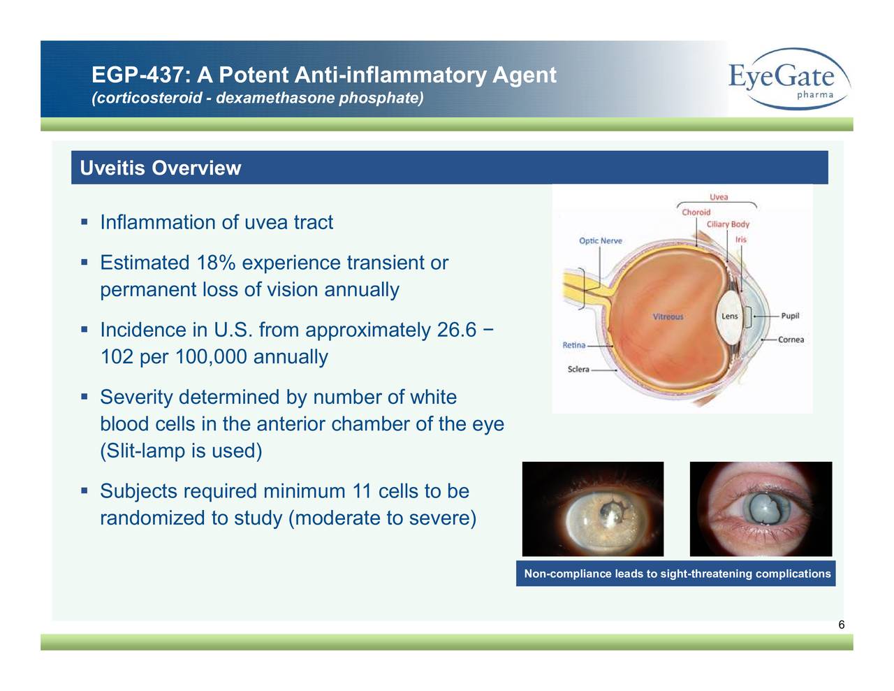 EyeGate Pharmaceuticals (EYEG) Investor Presentation - Slideshow ...