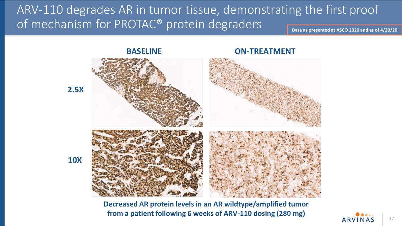 Arvinas (ARVN) Investor Presentation - Slideshow (NASDAQ:ARVN ...