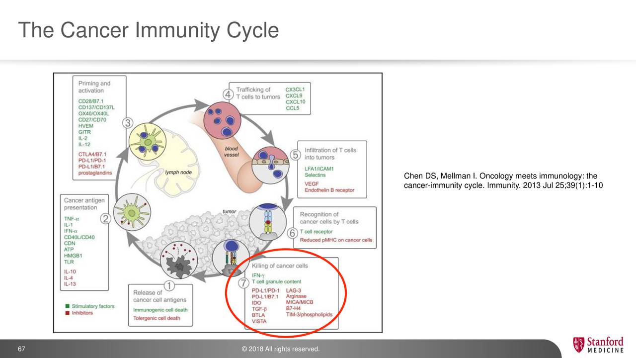 Immunovaccine (IMMVF) Investor Presentation - Slideshow (OTCMKTS:IMMVF ... Immunovaccine (IMMVF) Investor Presentation - Slideshow (OTCMKTS:IMMVF ...